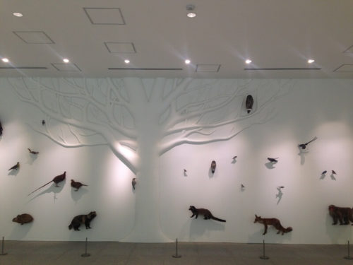 高尾山の自然と芝生を見渡せる気持ちのいいカフェ ～ 高尾599カフェ | ソロドキ